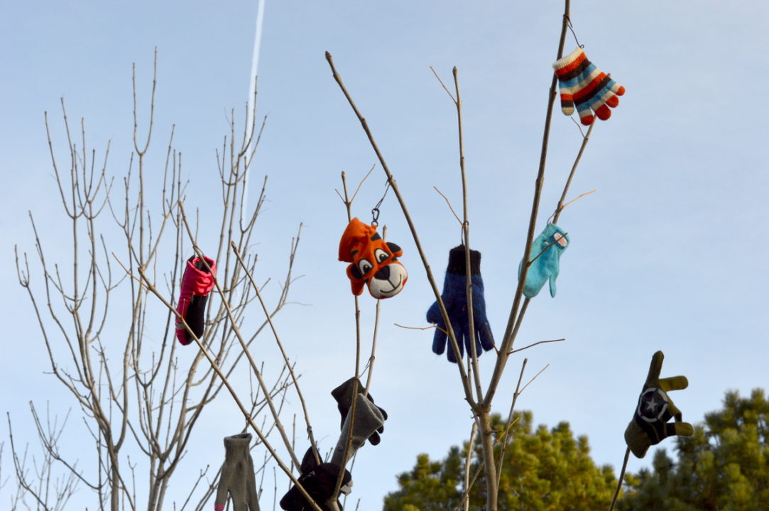 Photo of the Week: Out on a Limb - 5280