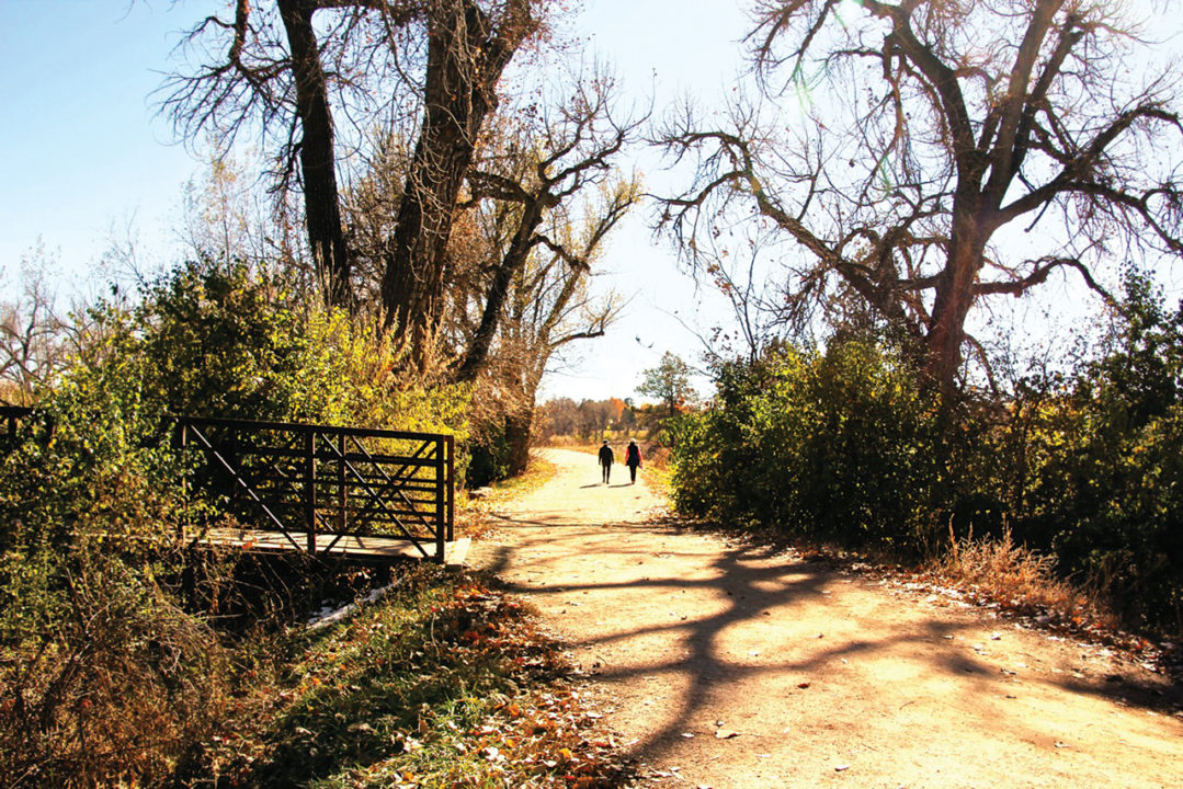 What To Do With the High Line Canal - 5280
