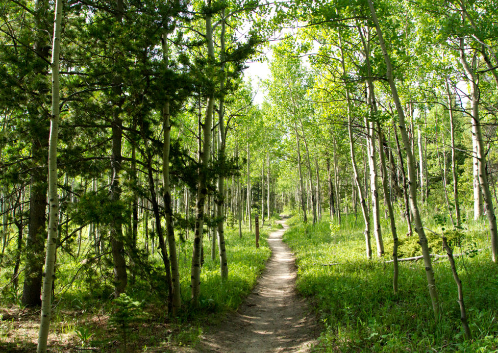10 of Colorado's Best State Parks