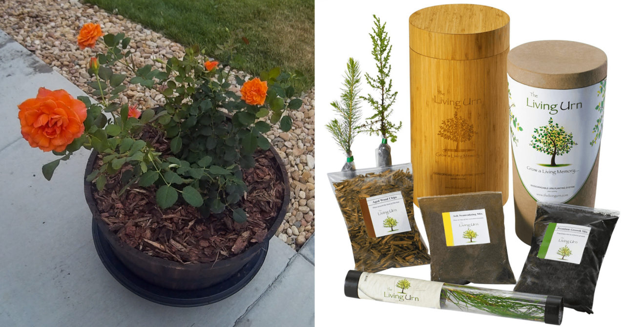 Celebrate New Life with a Biodegradable Urn - 5280