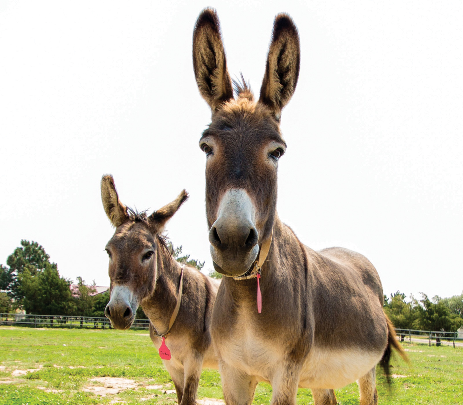 Hidden Colorado: 82 Under-the-Radar Gems You Need to Know About