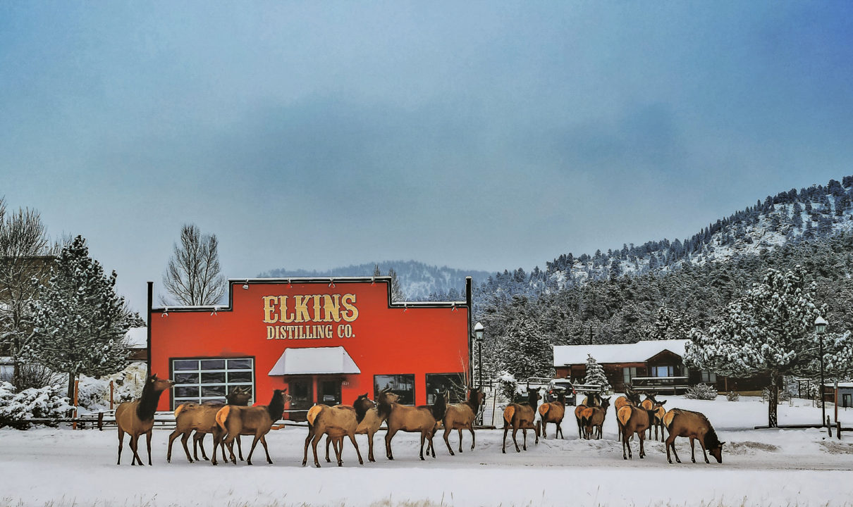 Colorado Distilleries Guide: The Best Booze Tours