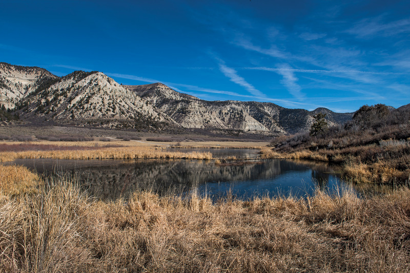 A Modest Proposal - 5280