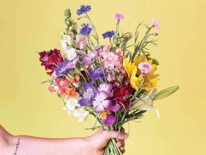 Need a Bouquet? Pick Flowers From These Local Farms - 5280