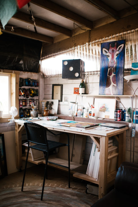 Carbondale’s Cedar Ridge Ranch Is Back—With Alpacas - 5280