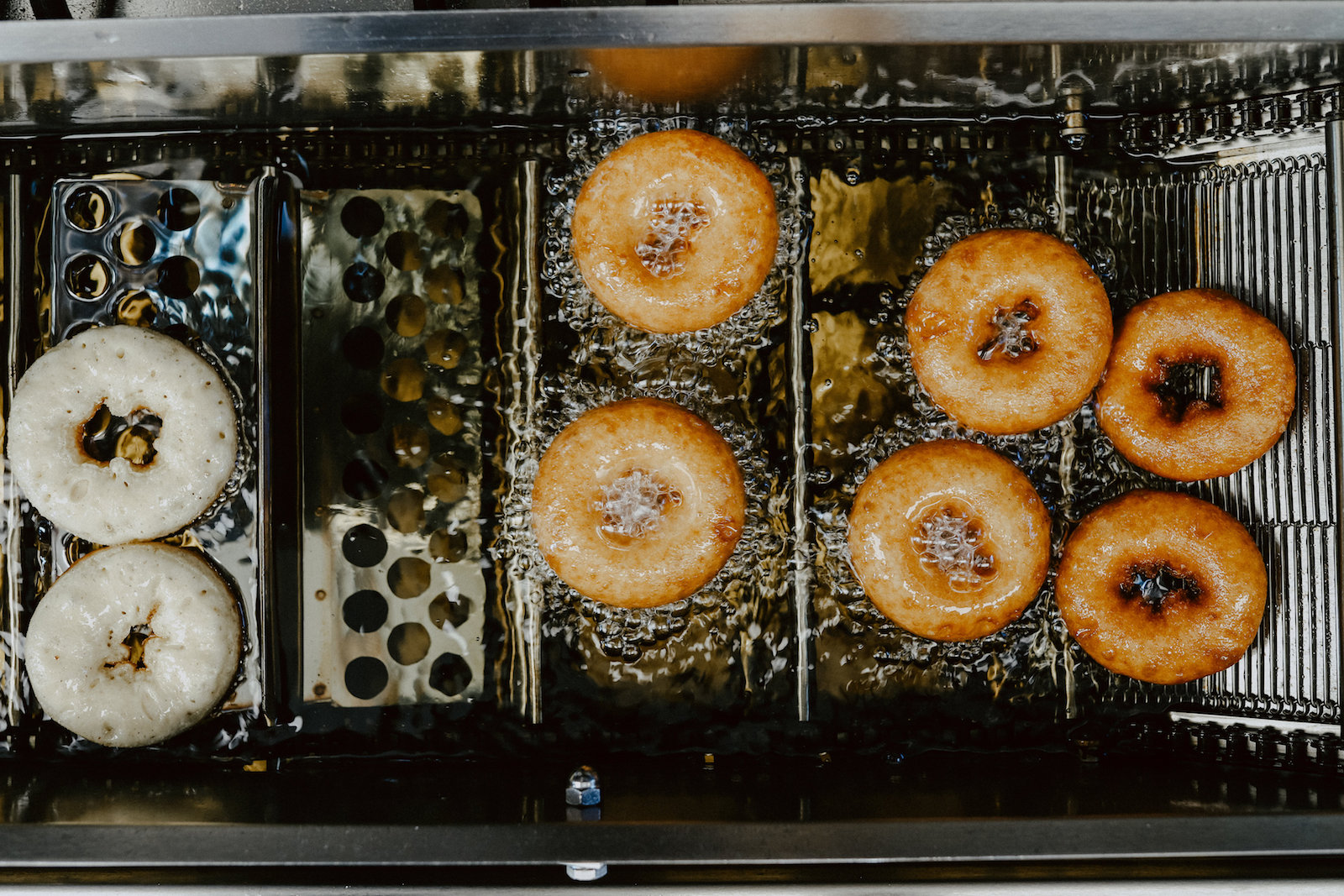 Robots Rock at Fort Collins's New Donut Shop