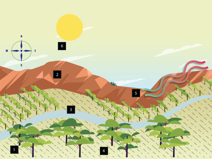 The 5280 Guide to Colorado Wine - 5280