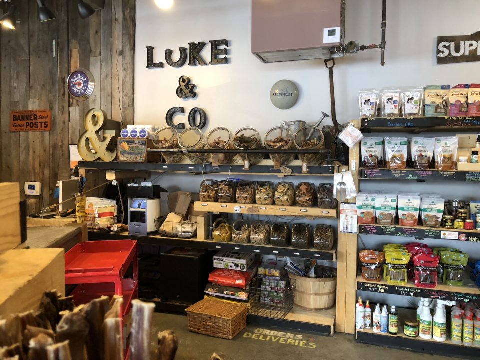 Dog-Friendly Denver: The Best Locally Owned Pet Stores - 5280