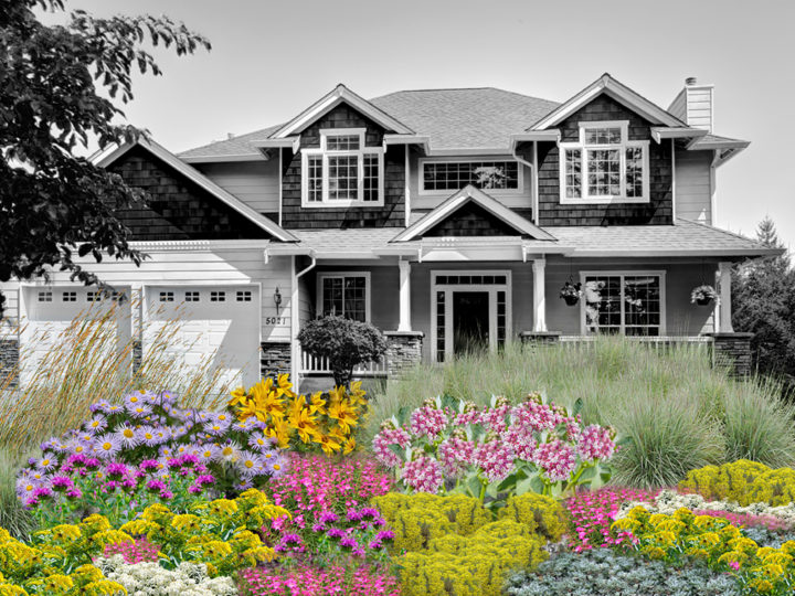 The Beginner’s Guide to Xeriscaping In Denver - 5280