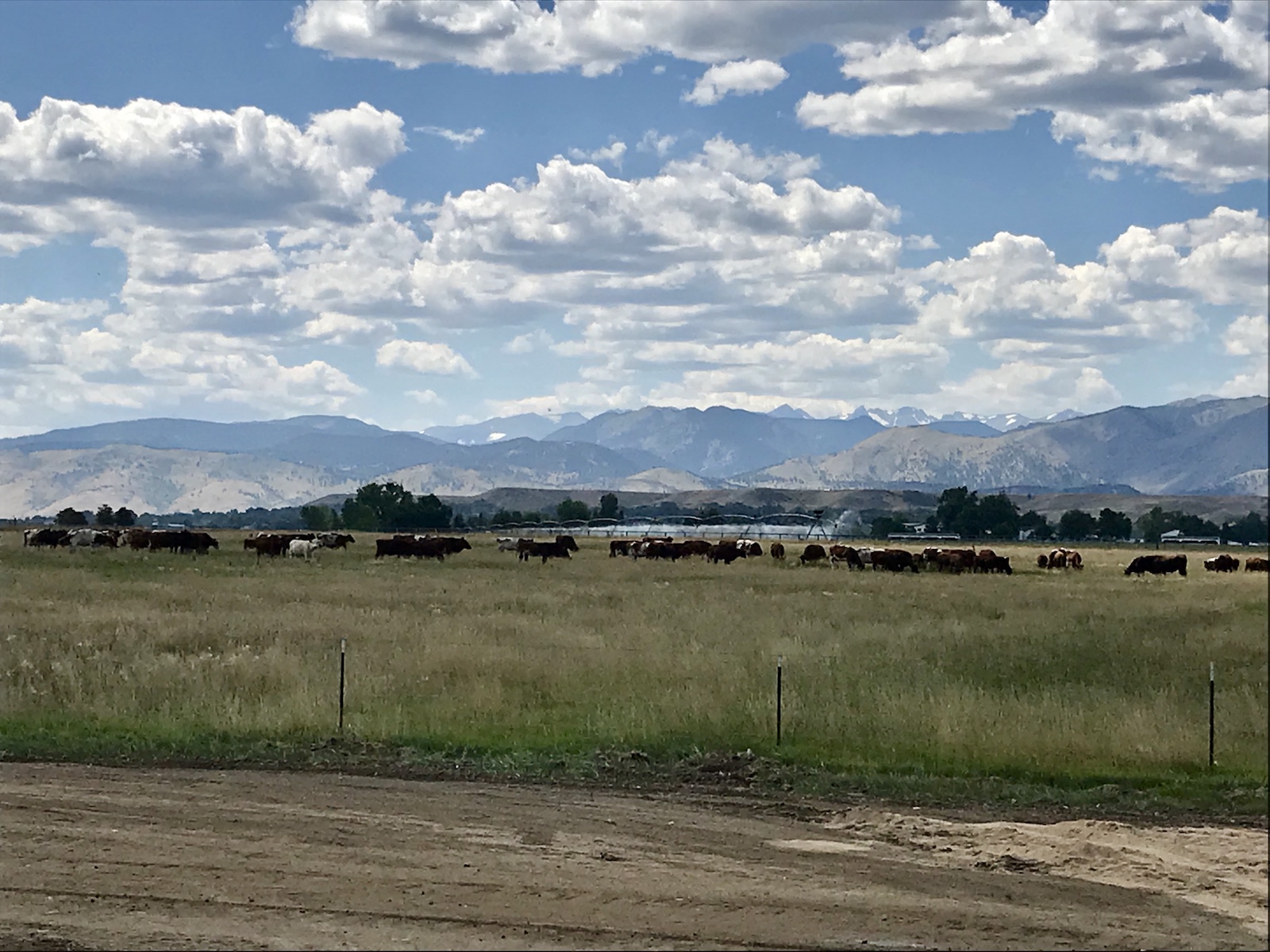 American Grind’s Brick-and-Mortar Restaurant Is Open in Wash Park W.