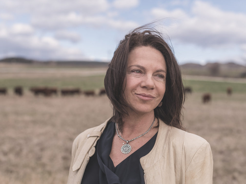 The Rise of Regenerative Agriculture in Colorado - 5280