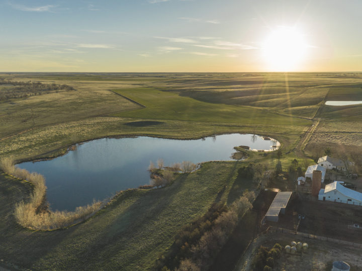 The Rise of Regenerative Agriculture in Colorado - 5280