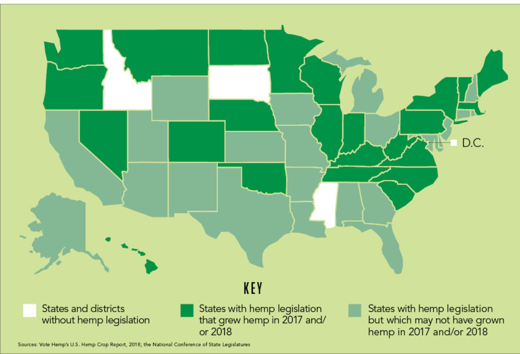 Everything Coloradans Never Knew They Needed To Understand About Hemp ...