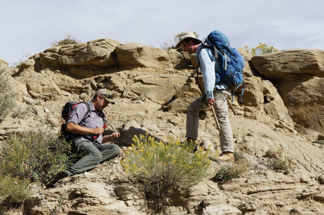 Corral Bluffs Discovery Reveals How Mammals Evolved After Dinosaurs