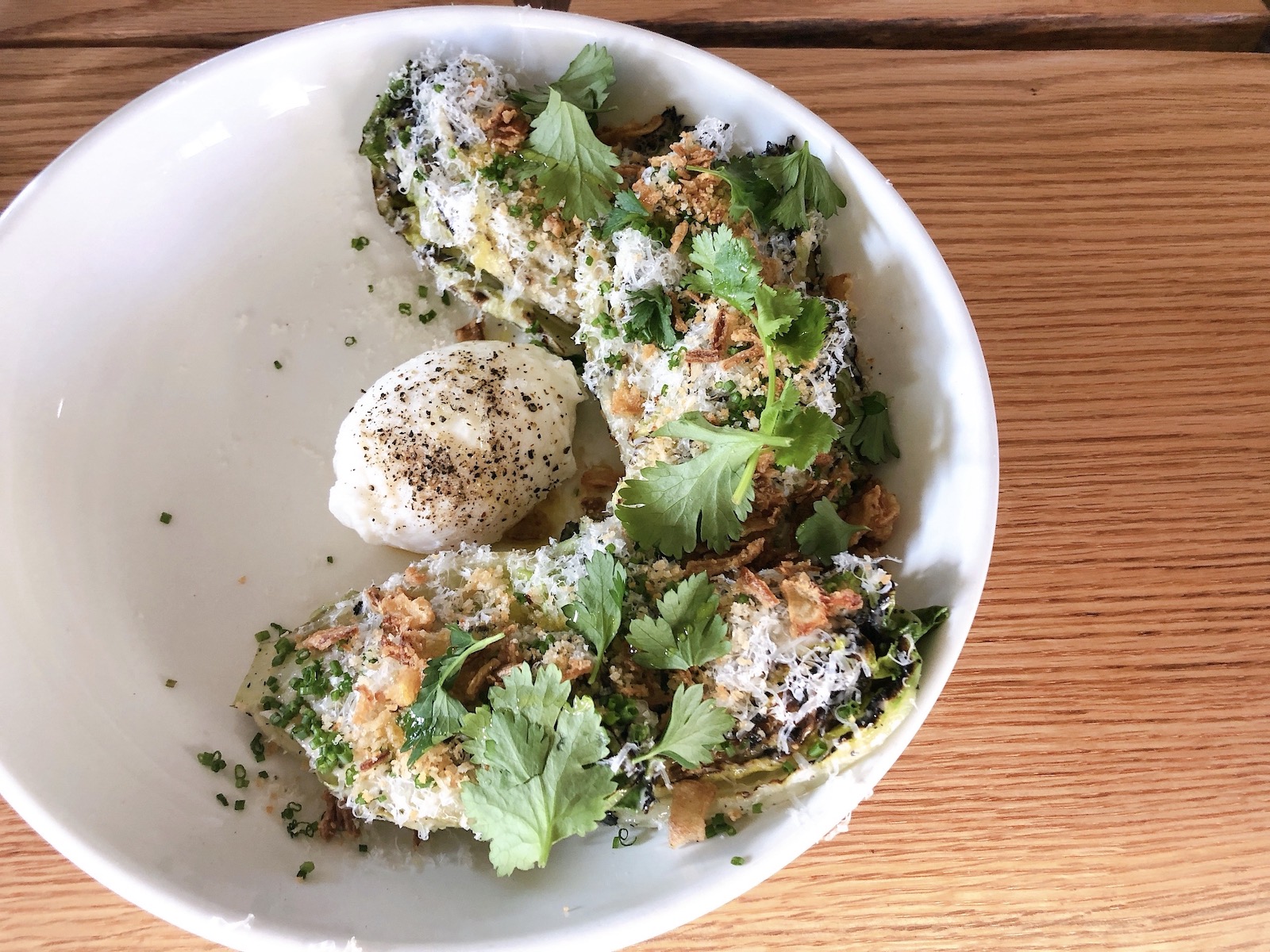 Mister Oso Brings the Deliciousness of Señor Bear to RiNo