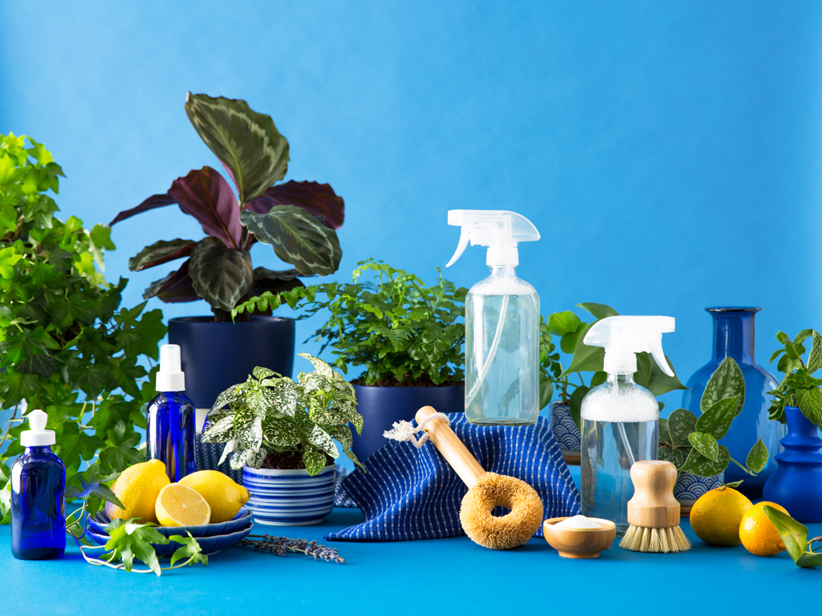 52 Ways to Detox Your Home and Live Healthier This Year - 5280