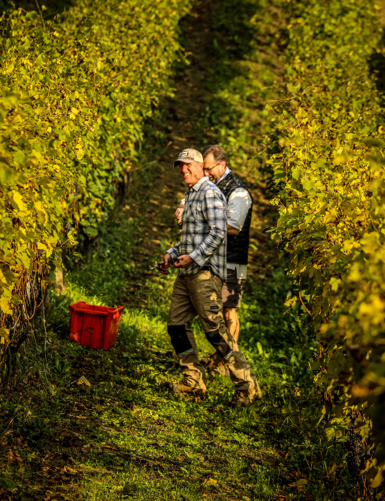 Attimo Winery Brings A Taste of Italy to Larimer Street