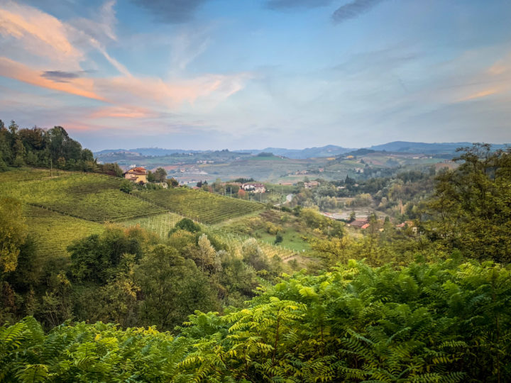 Attimo Winery Brings A Taste of Italy to Larimer Street
