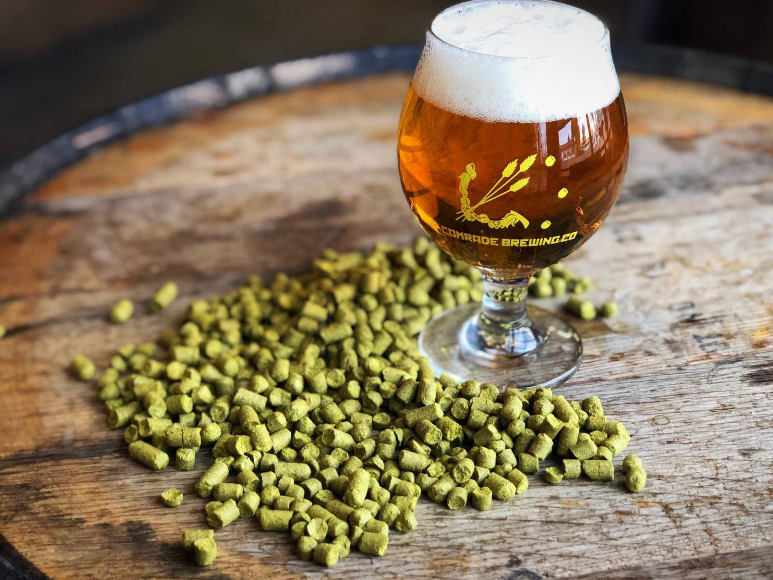 A Guide to the Wide, Wonderful World of IPAs