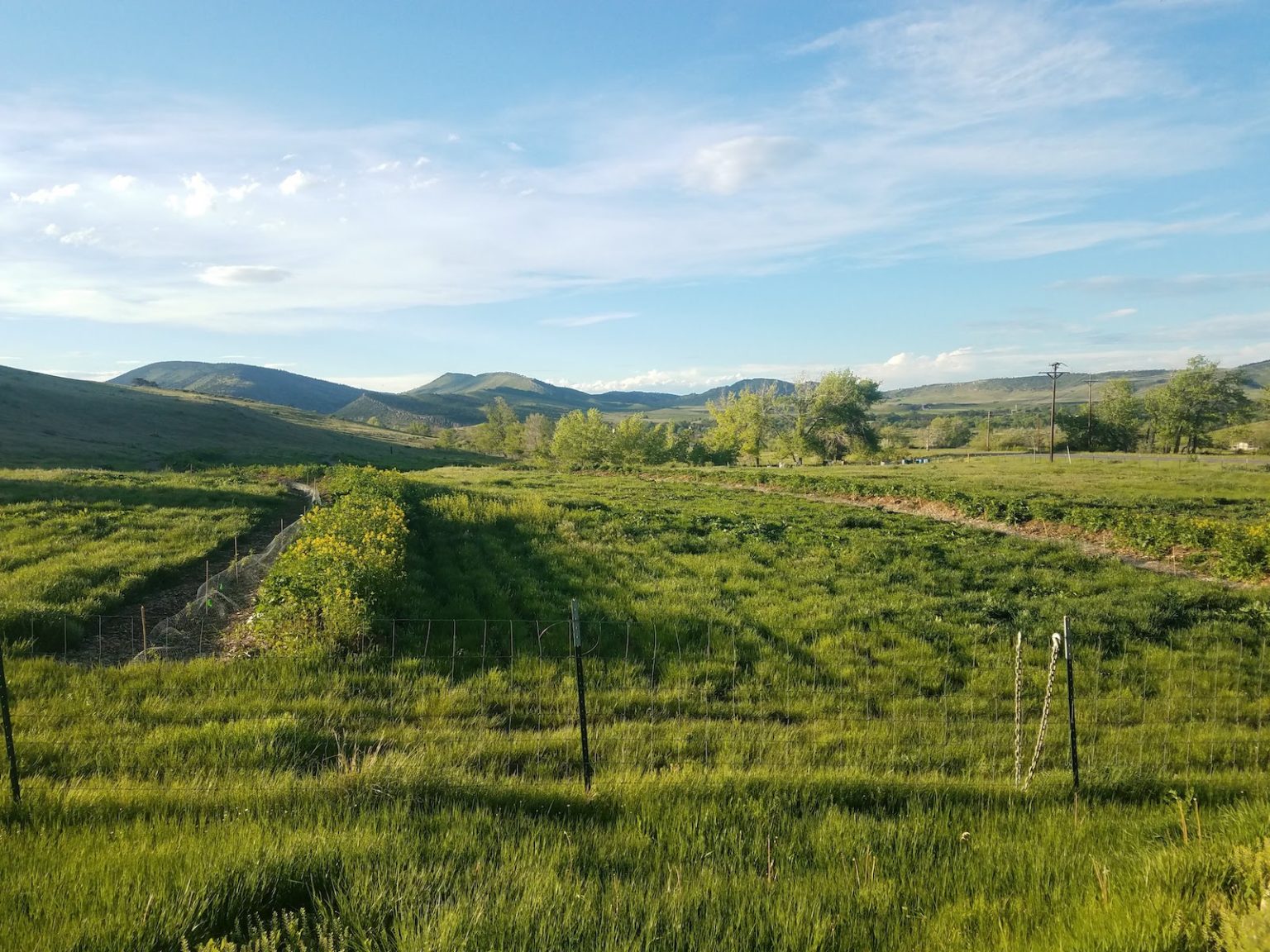 These Young Colorado Farmers Are Changing the Future of Agriculture - 5280