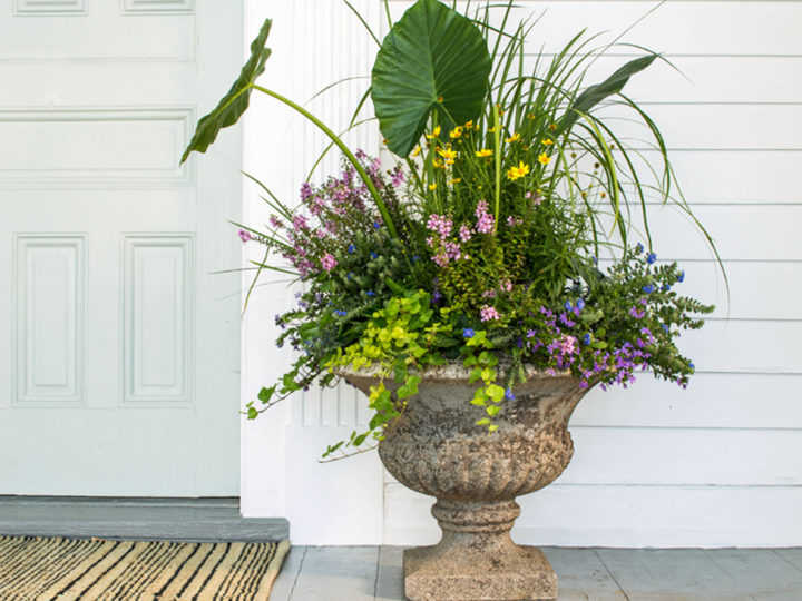 How to Build Your Own Container Arrangement - 5280