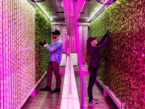 Does Kimbal Musk Have the Formula to Guide Us Through COVID-19?