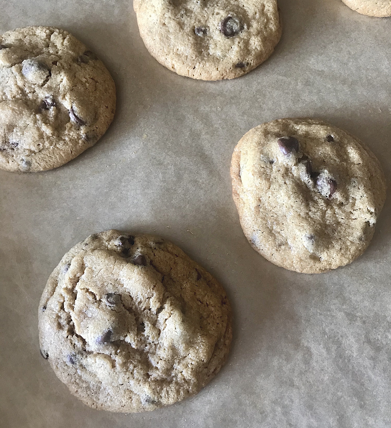 Meet Moxie Bread Co’s Andy Clark