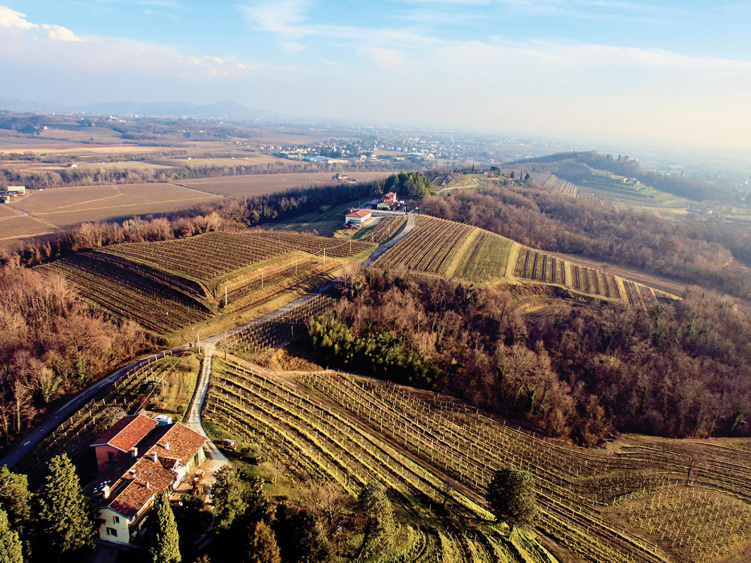 Cookbook Review: Frasca’s Friuli Food and Wine - 5280