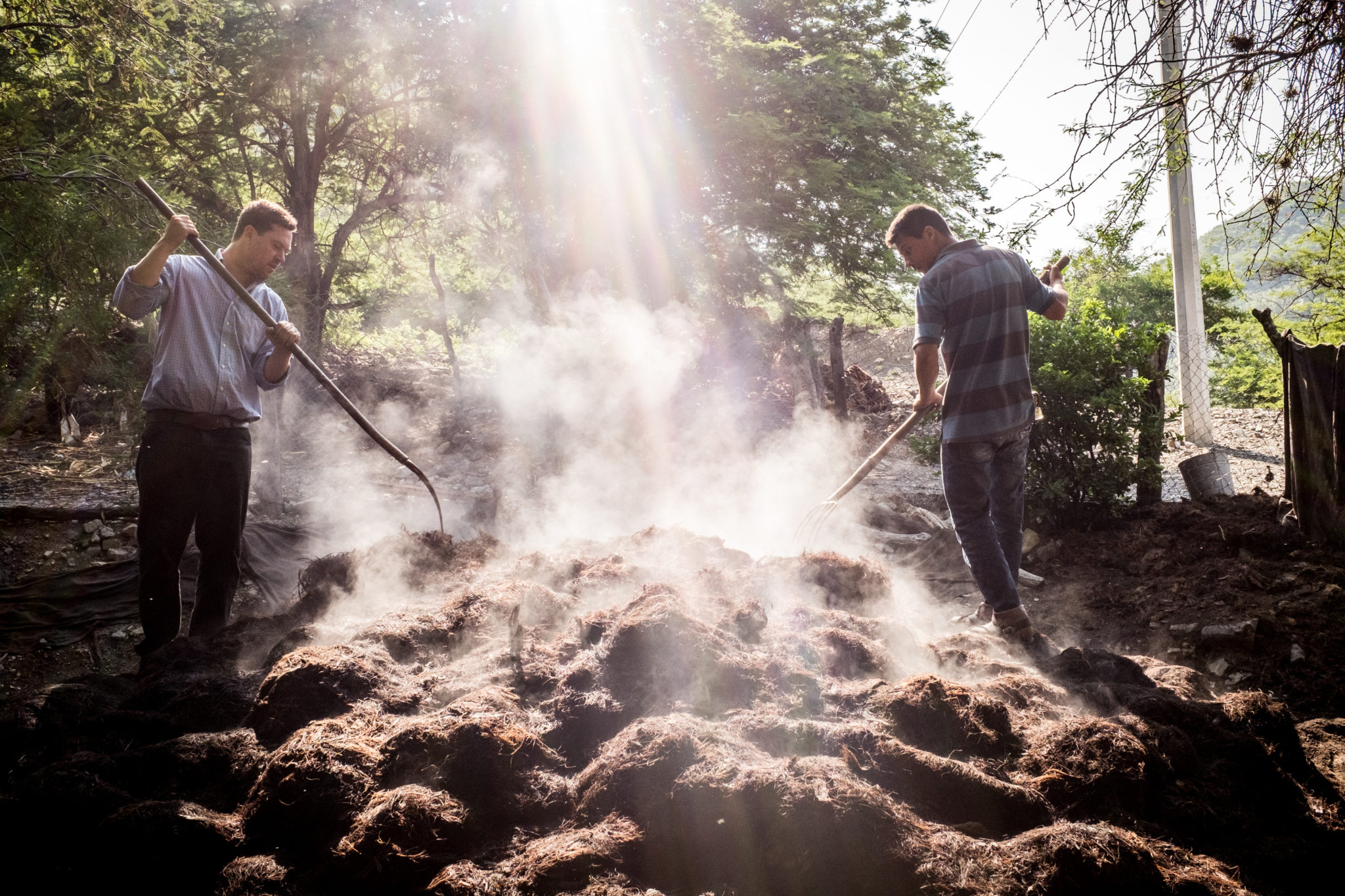 Colorado Mezcal Brands Work With Oaxacan Producers to Fight COVID-19