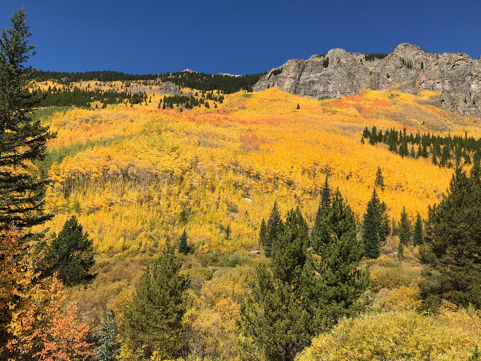 7 Fall Trails in Colorado Where You Can Successfully Socially Distance