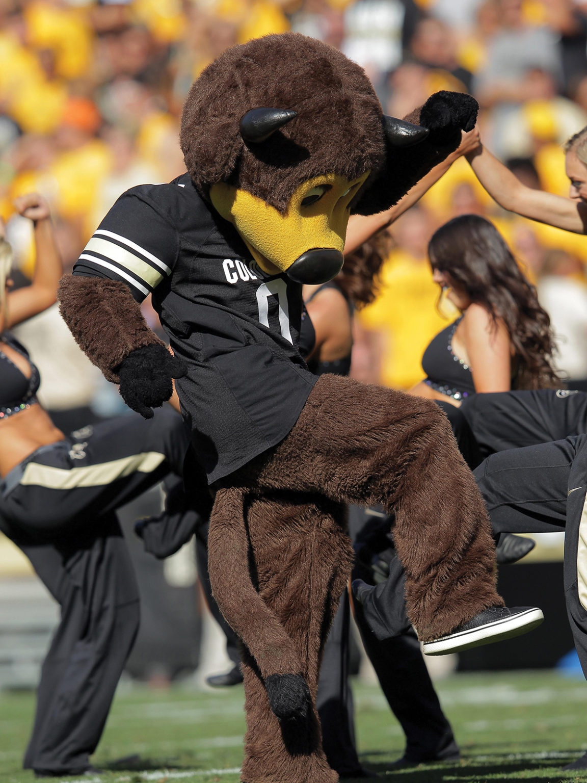 4 Times Colorado Mascots Proved They'll Do Anything for the Team - 5280