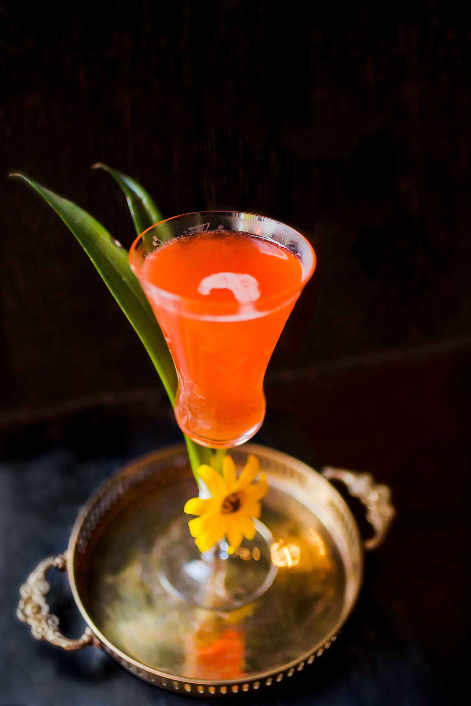 Forget Me Not, From the Culinary Creative Team, Opening Soon in Cherry ...