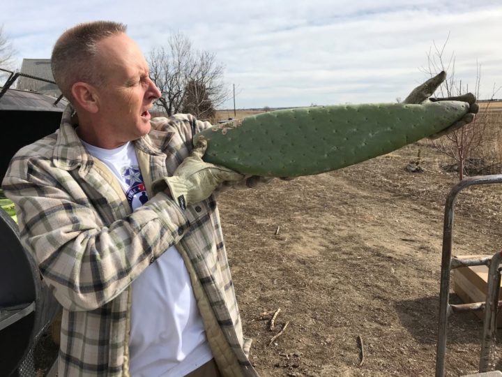 What Makes Dry Land Distillers Cactus Spirit So Special?