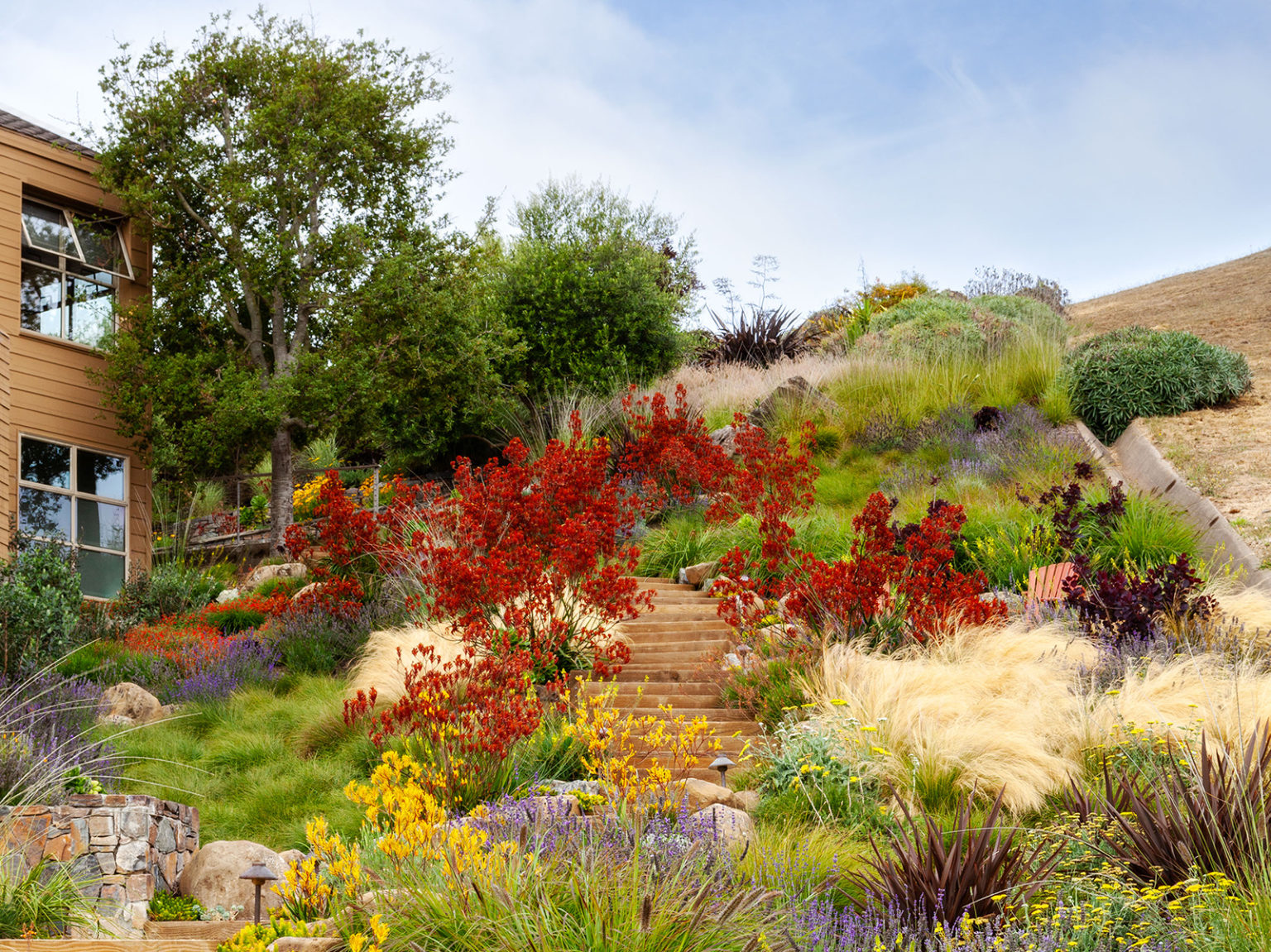 5 Xeriscaping Myths, Debunked - 5280
