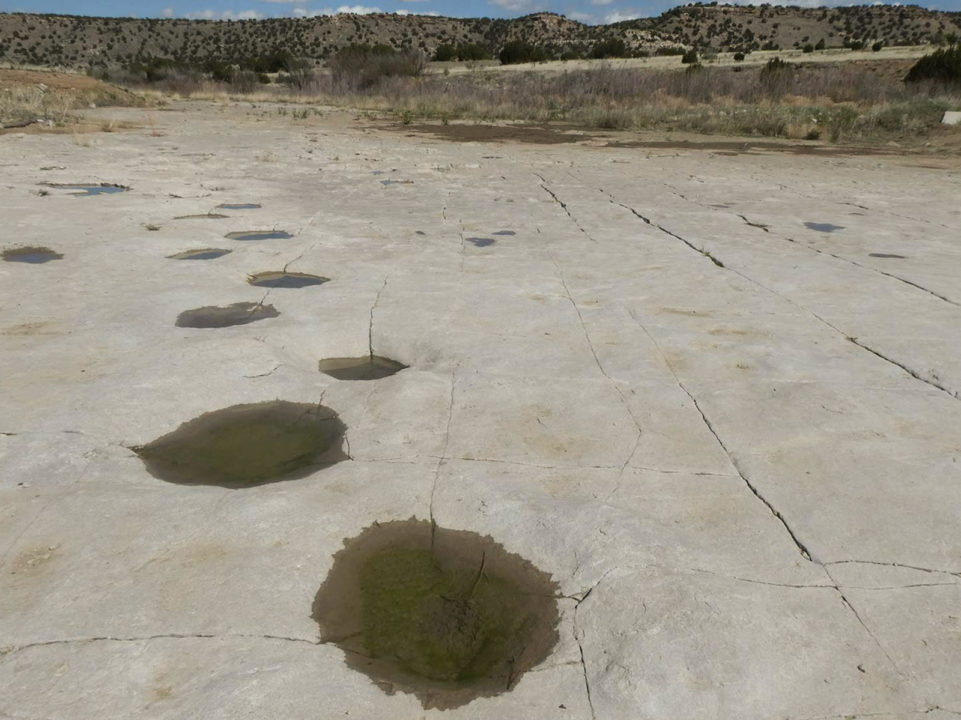 Hike We Like: North America’s Largest Dinosaur Tracksite - 5280