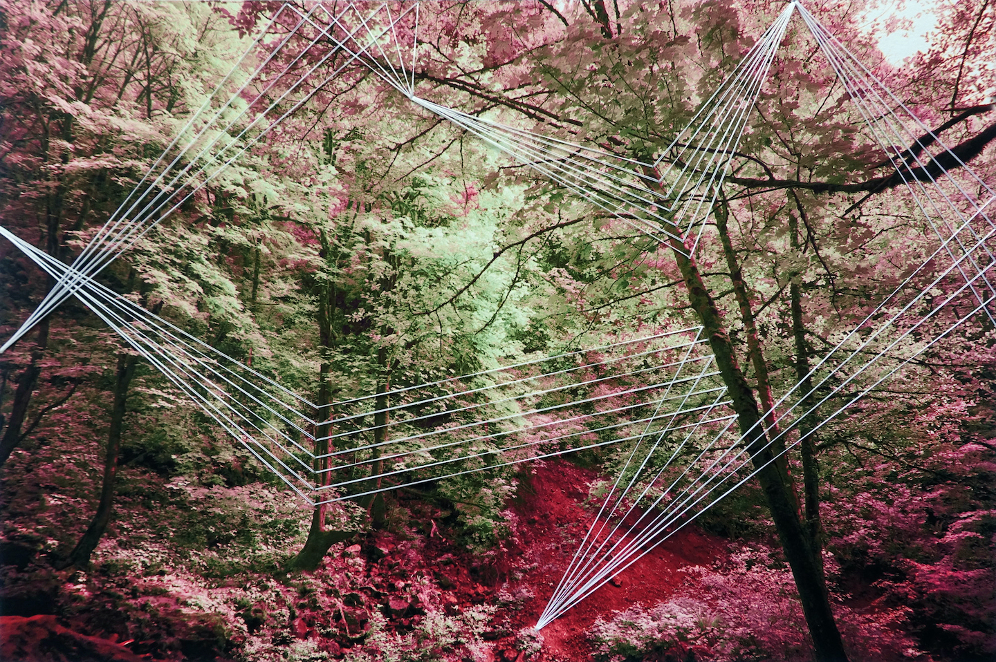 7 Surprising Objects in Colorado’s Coolest Summer Exhibits - 5280