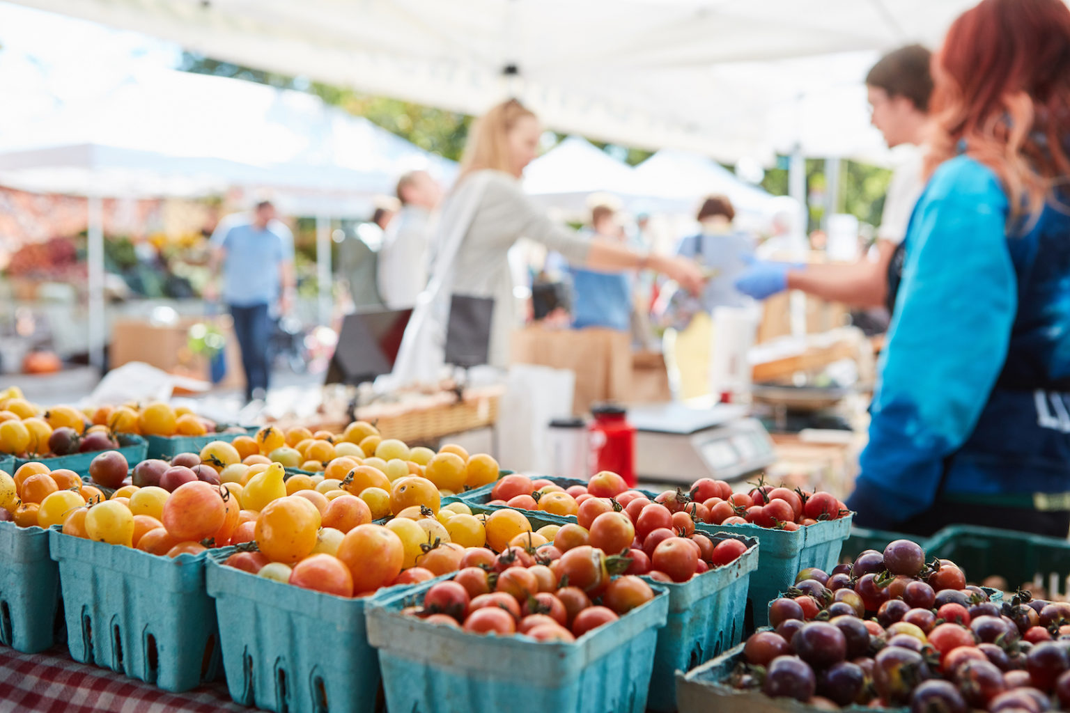 Your Guide to Colorado’s Best Summer and Fall Produce