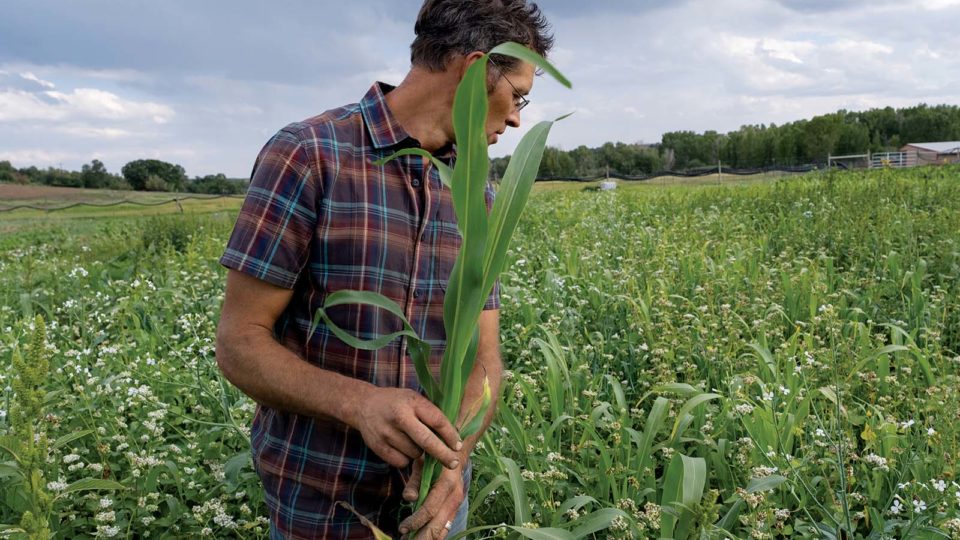 A Megadrought Is Hurting Colorado Farmers - 5280