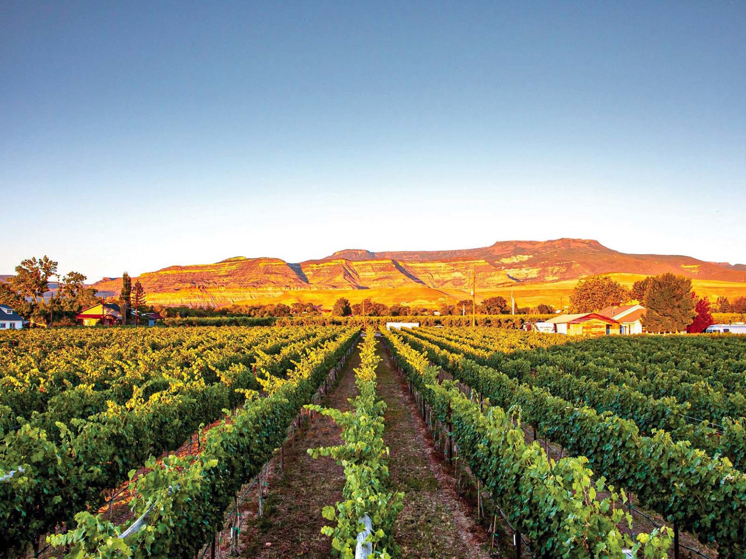 5 Weekend Trips Through Colorado's Wine-Making Regions - 5280