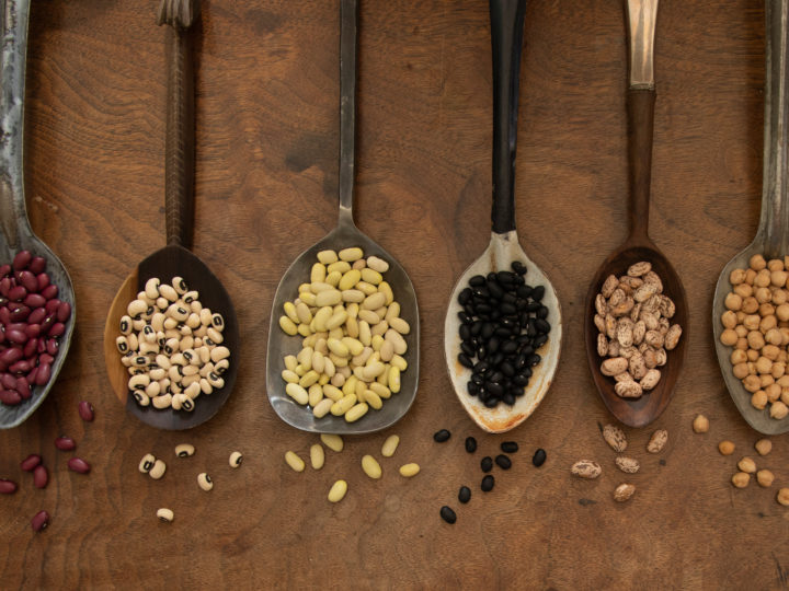 Why Are Colorado Beans So Delicious?