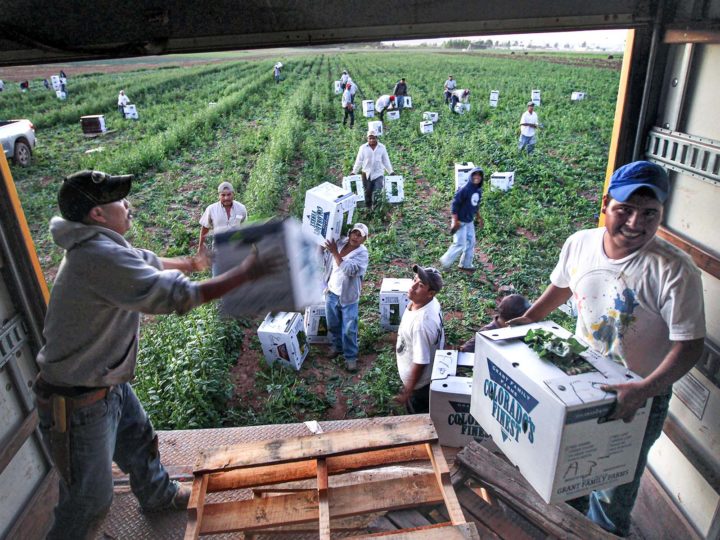 A New Law Grants Key Rights to Colorado's Agricultural Workers - 5280