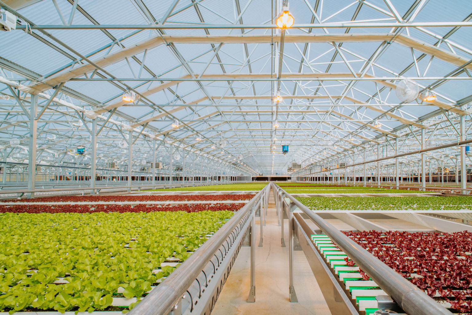Inside Colorado’s Largest Organic Indoor Farm