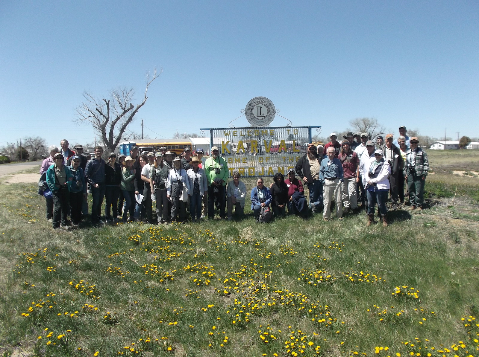 How the Mountain Plover Helps Sustain Small Town Life - 5280