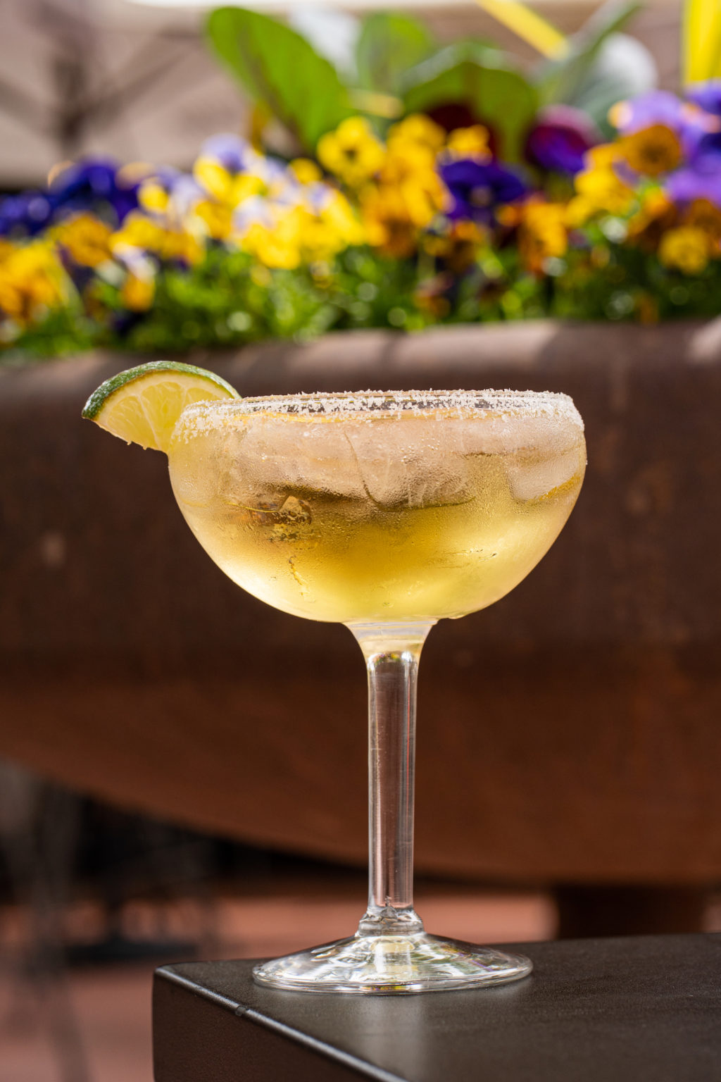 The 12 Best Margaritas in Denver and Beyond