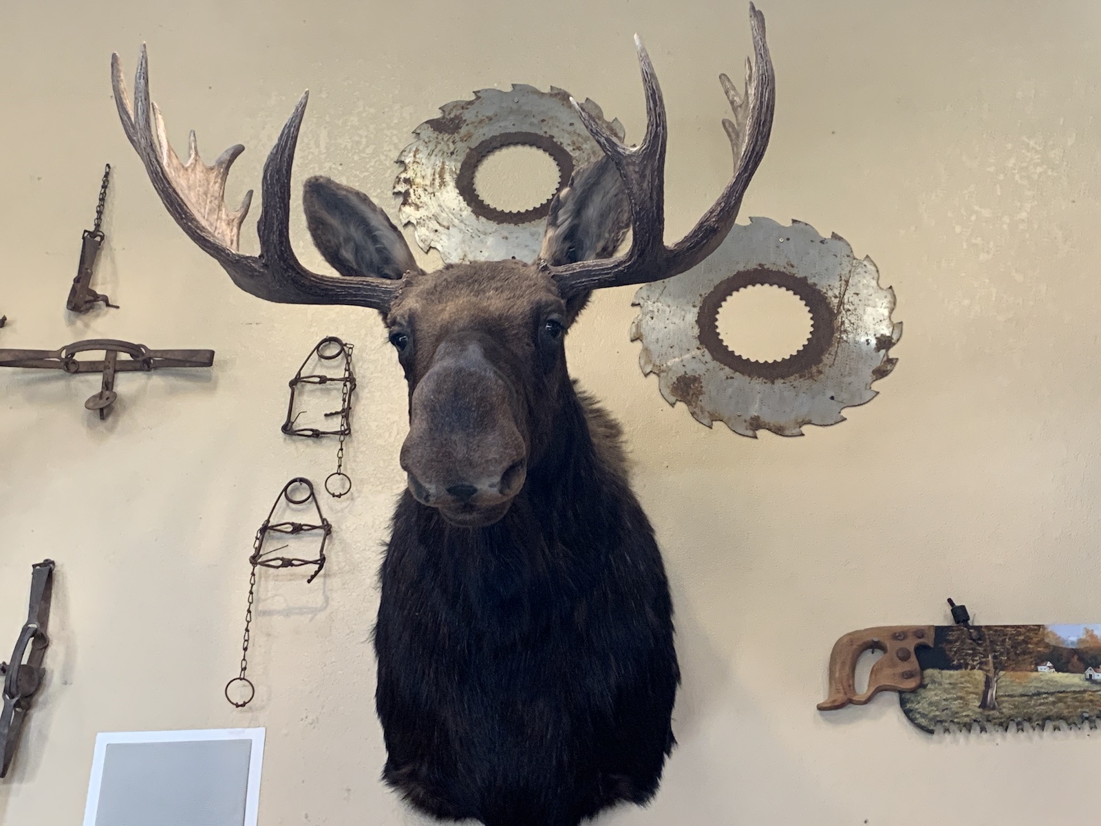 Downhome Cooking, Community Are the Draw at this Family Eatery in Bailey