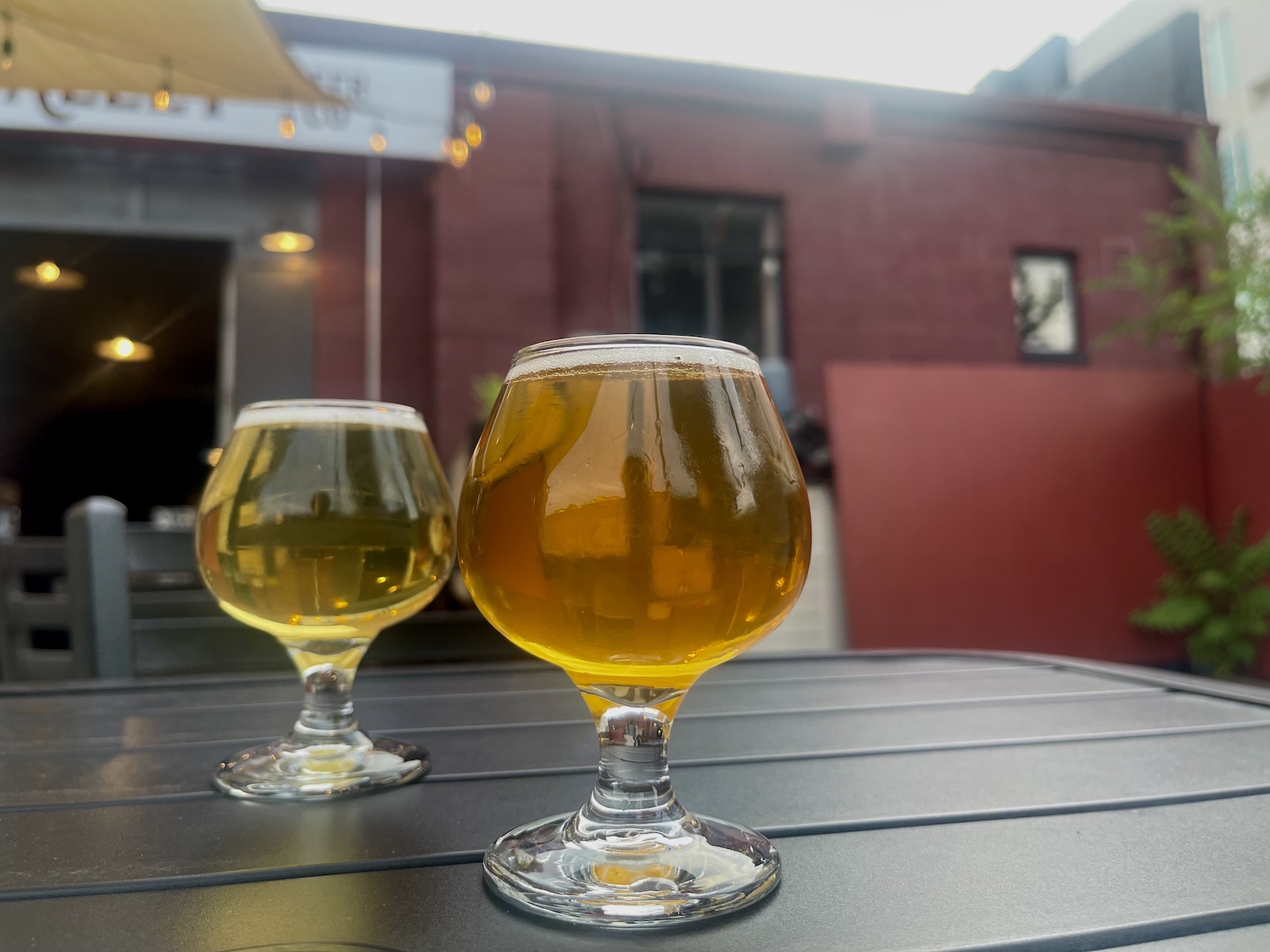 21 of Denver’s Best Craft Breweries
