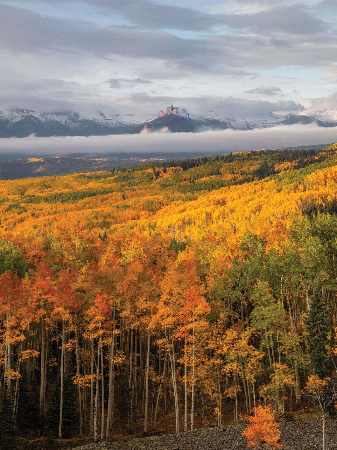 7 Leaf Peeping Road Trips Perfect for Electric Vehicles - 5280