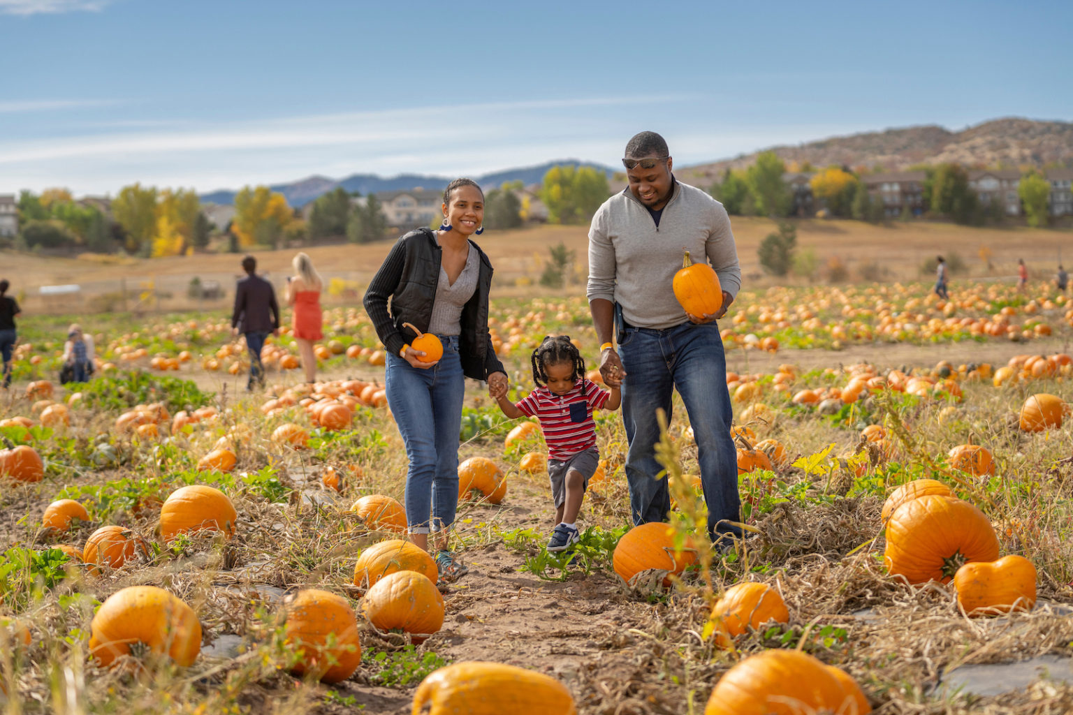 The 7 Best Pumpkin Patches to Visit in Denver and the Front Range - 5280