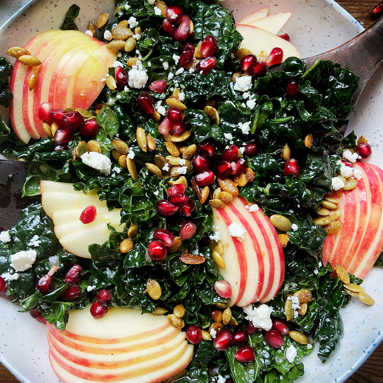 The 10 Best Colorado Gifts for Plant Lovers - 5280