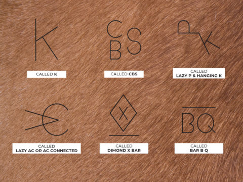 Decoding the Secret Language of Colorado Cattle Brands - 5280